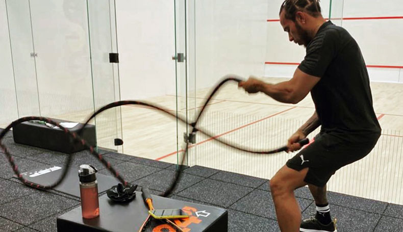 Hamilton mit Squash zum siebten WM-Titel! - squashnet.de